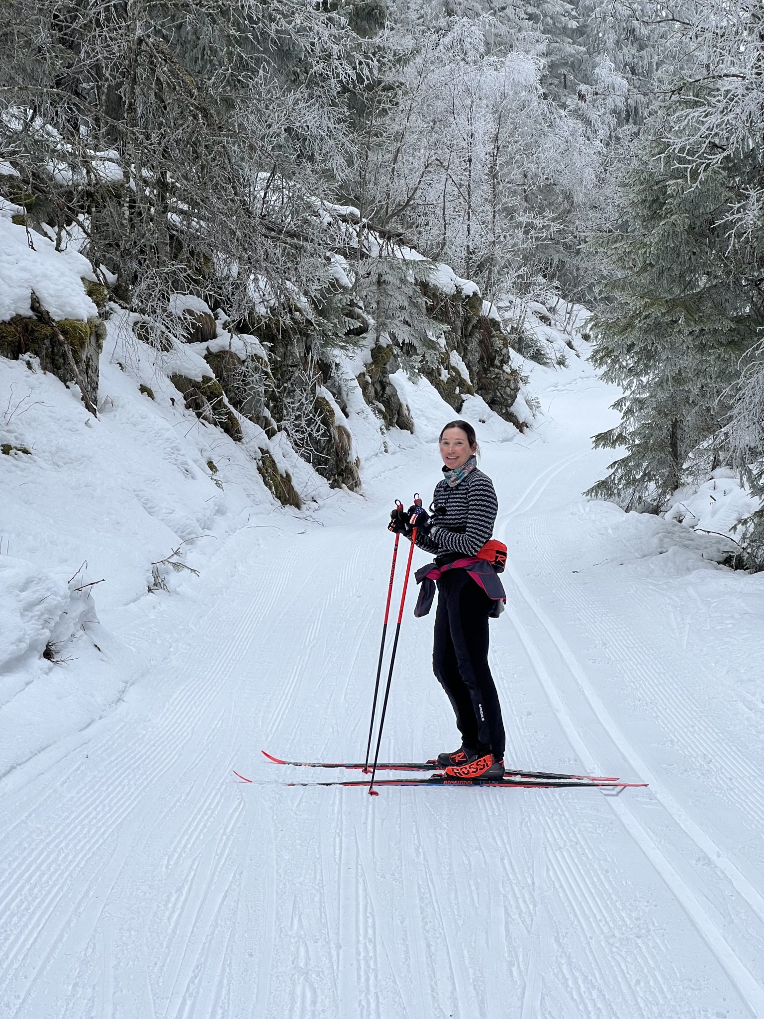 Balancing Work, Family and Training as a Master Skier - Endurance ...