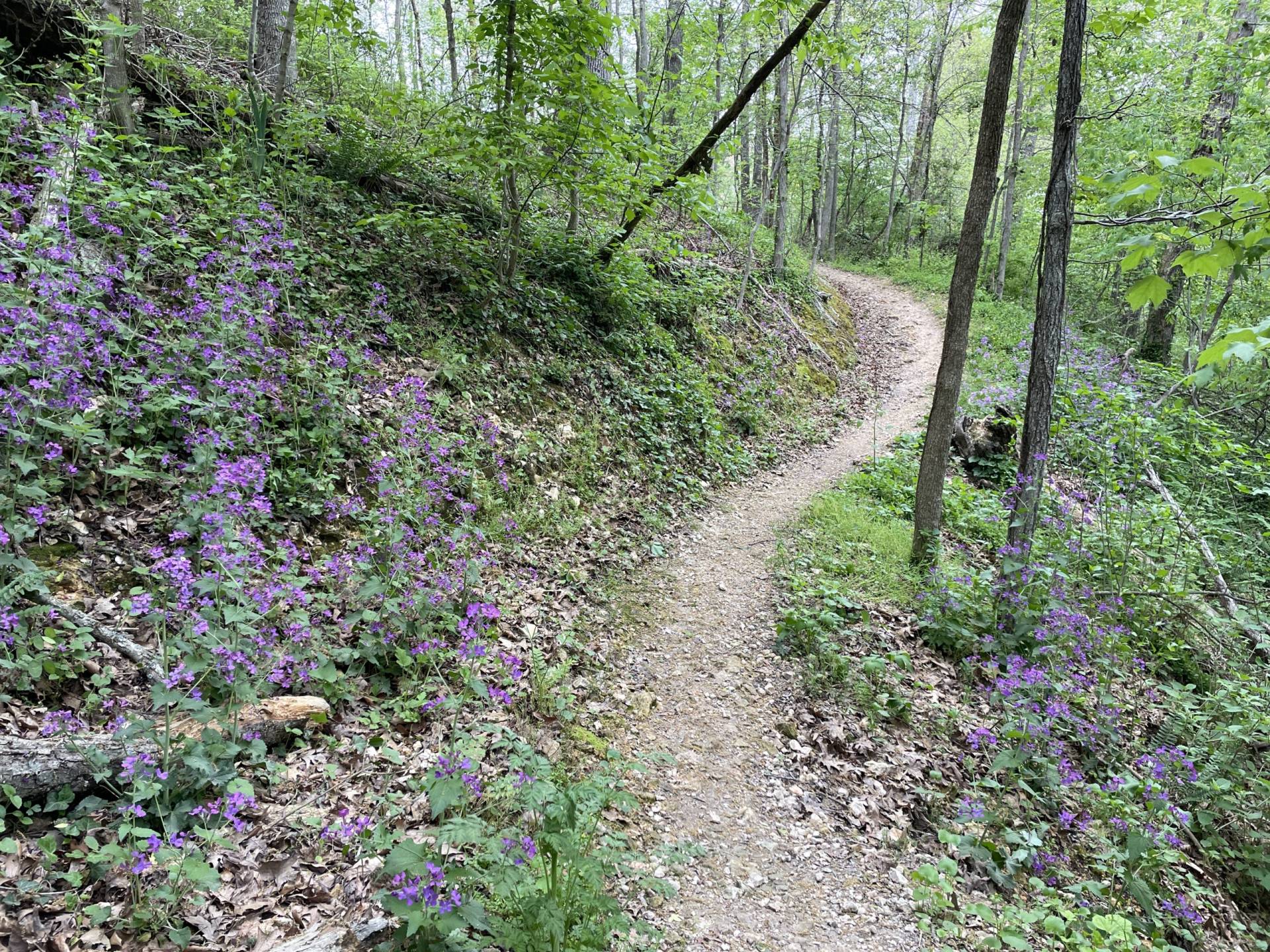 Endurance Adventure Trips - Endurance Adventures